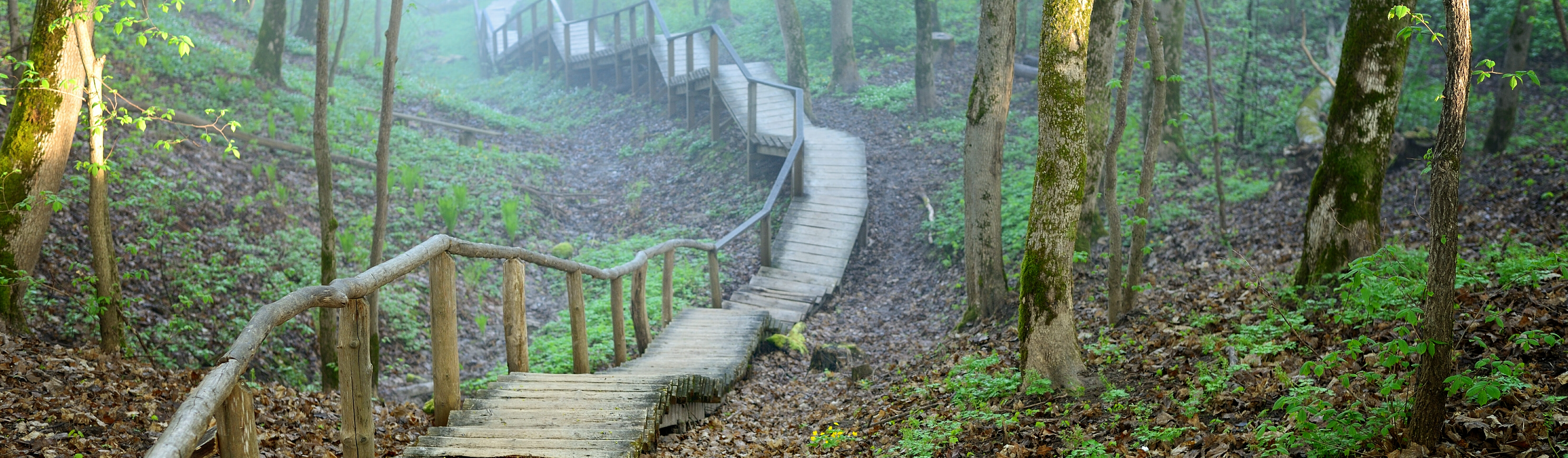 Going to the Next Level